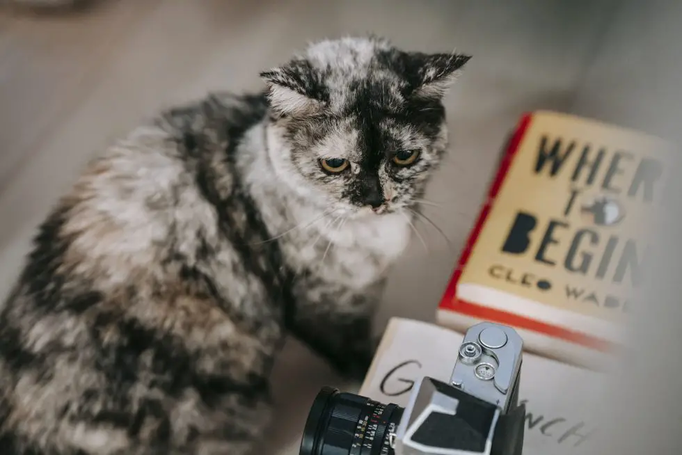 What Is a Photo Series? Best Photography Series Ideas with Examples