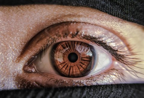 What Is Micro Photography? Best Micro Photography Examples