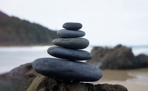 What Is Micro Photography? Best Micro Photography Examples