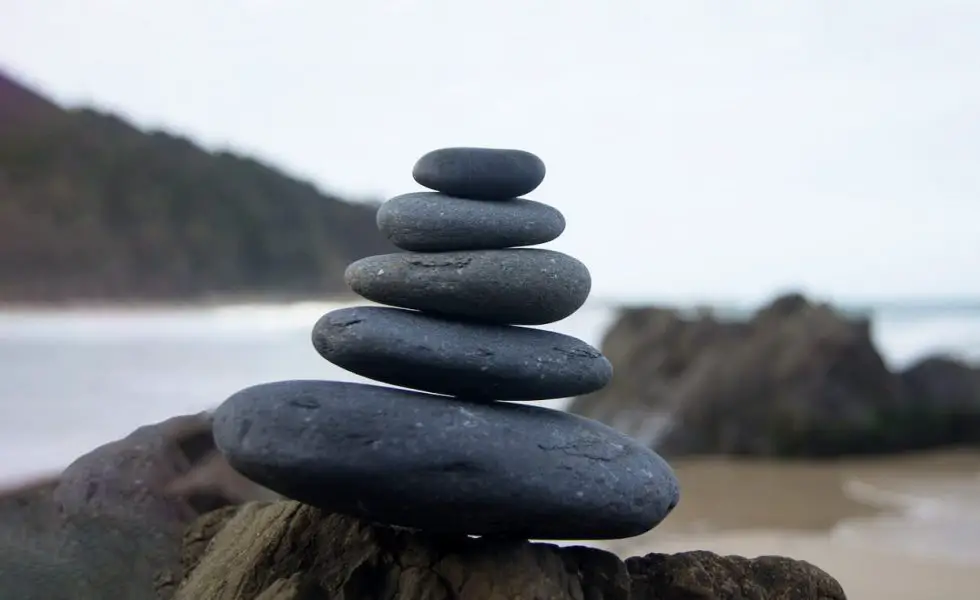 What Is Micro Photography? Best Micro Photography Examples