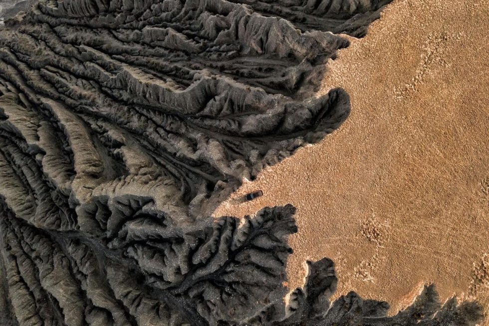 What Is Micro Photography? Best Micro Photography Examples