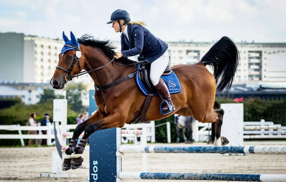 Action Photography Guide: Tips For Taking Great Action Photos